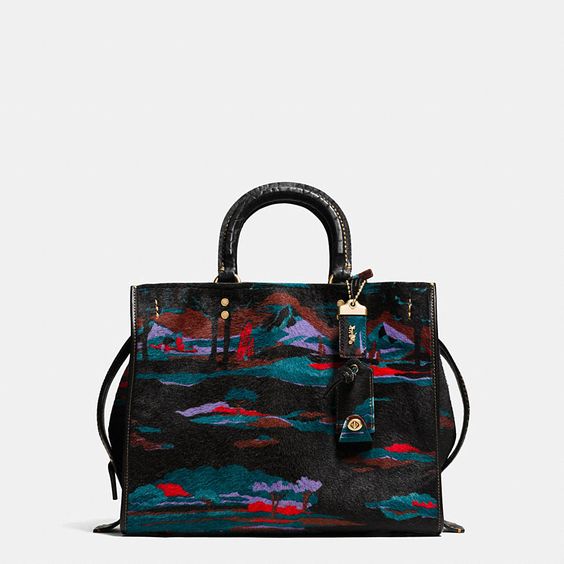 FIRST LOOK: Coach Pre-Fall 2016 Collection - NYC Recessionista